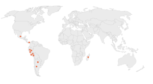 PI Visualization – Piper